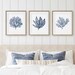 Set of 3 Prints Hamptons Style Artwork Navy Blue Coastal | Etsy