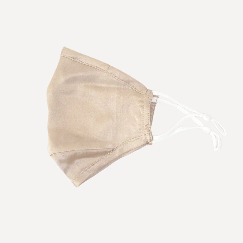 Triple Layer Silk Face Mask with Insert Pocket Earth | Etsy