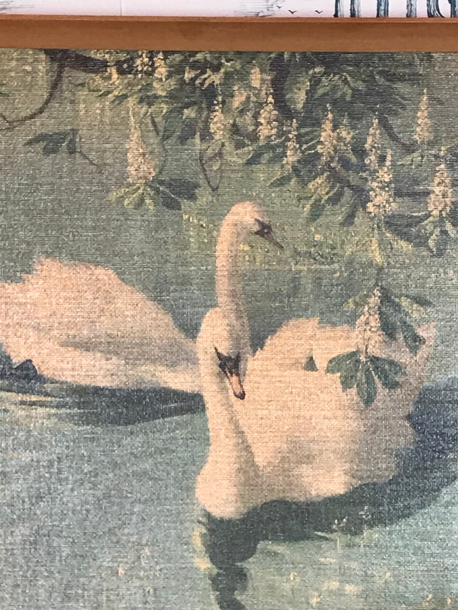 Vintage 1960/1970 framed swan print free delivery | Etsy