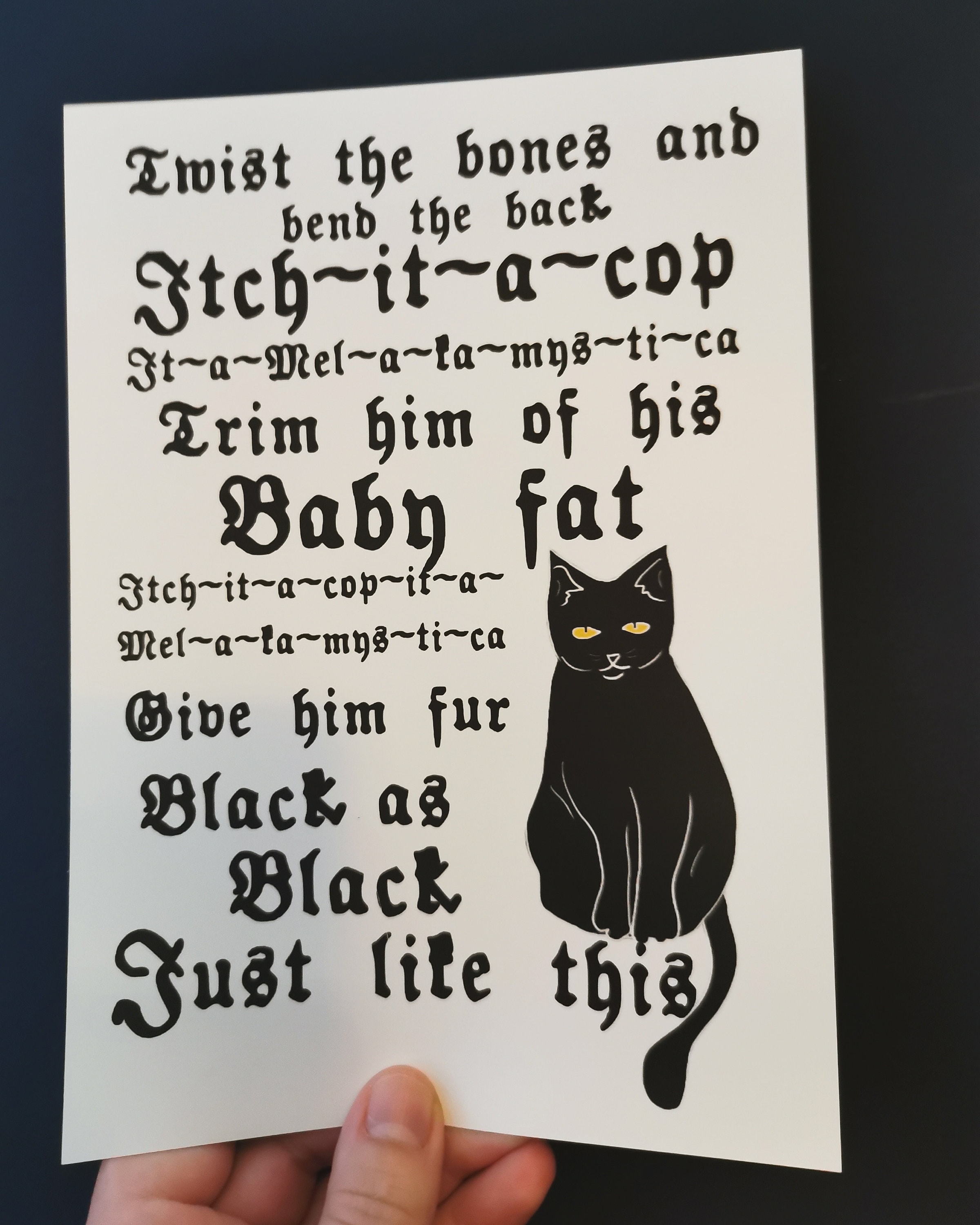 Hocus pocus Binx the cat spell art print goth home decor witch | Etsy
